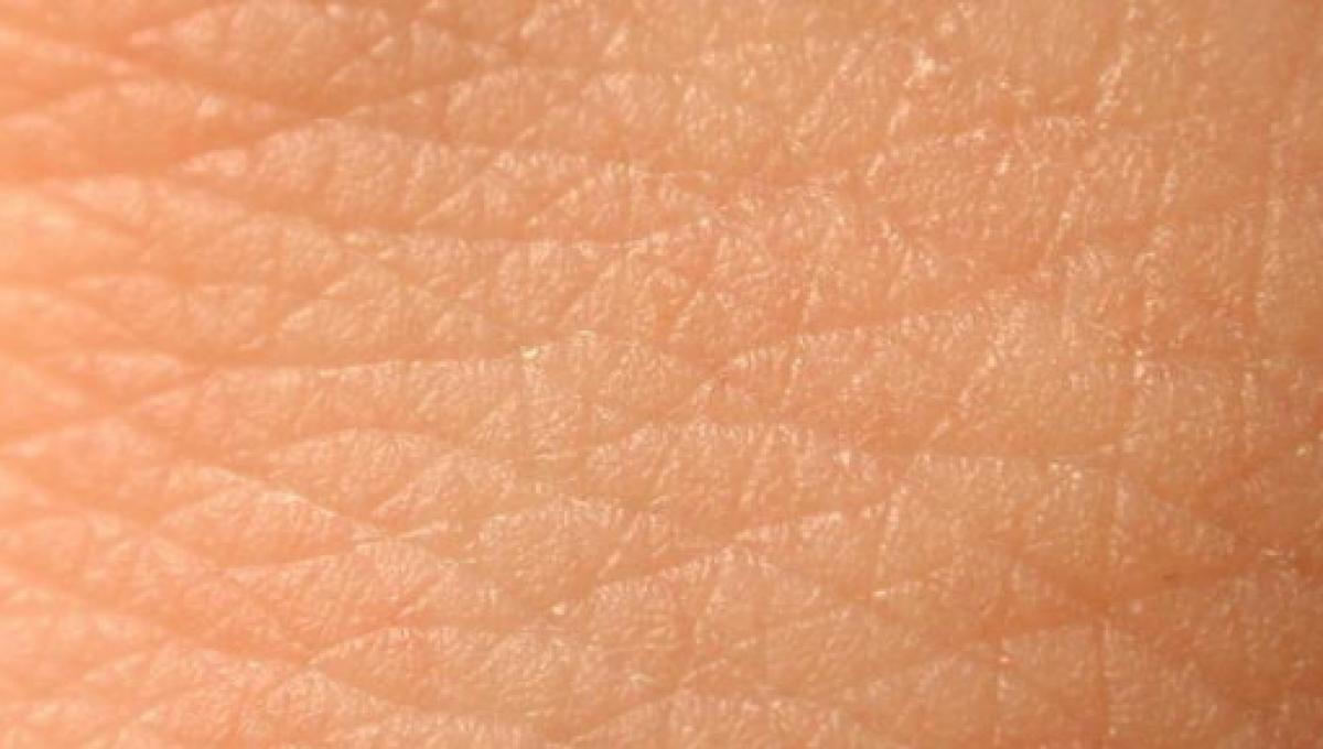 PIELES | Javier Marrero